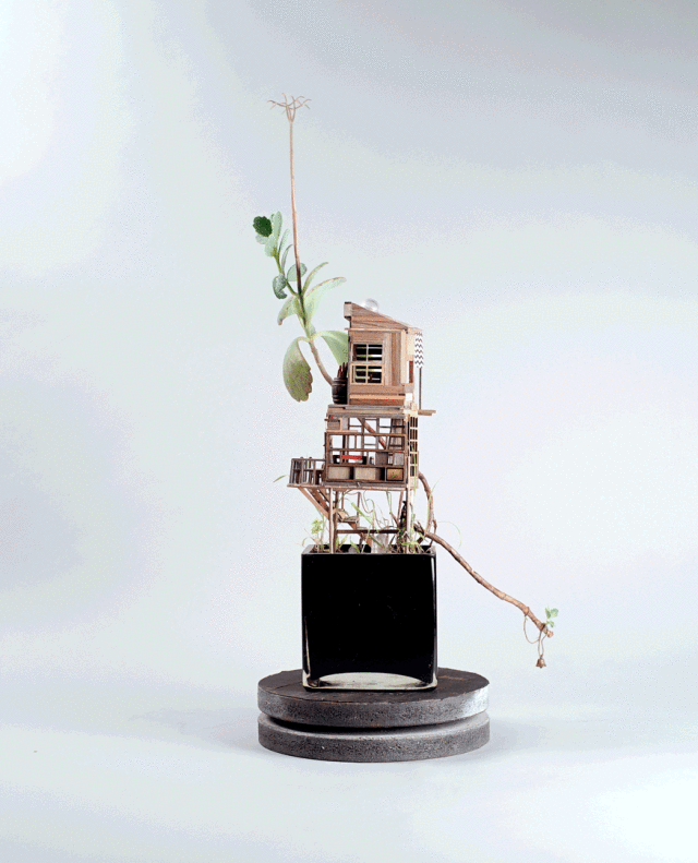 12 Miniature Tree Houses from houseplants - Genmice