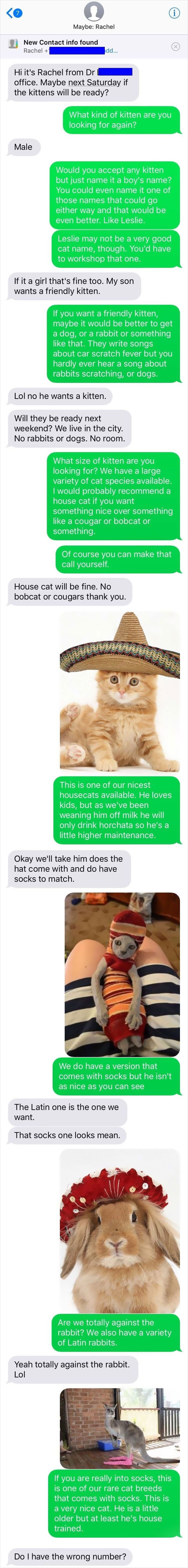 10 Most Hilarious Wrong Number Chats That Prove Humans Are Crazy! - Genmice
