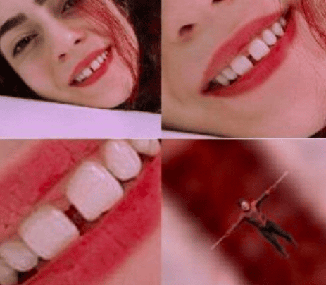 10 Silly Pictures To Improve Your Day - Genmice