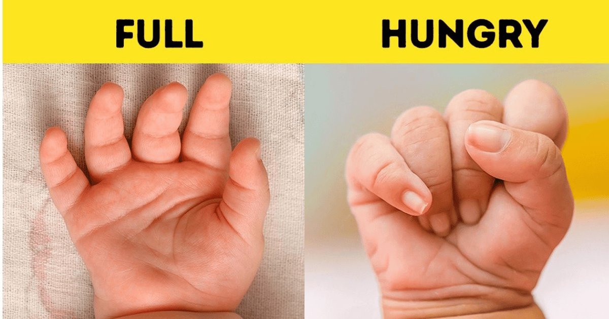 9 Signals That Will Help You Understand Your Baby Properly - Genmice